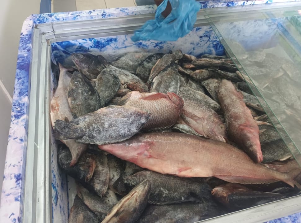 Our Products – FishMart