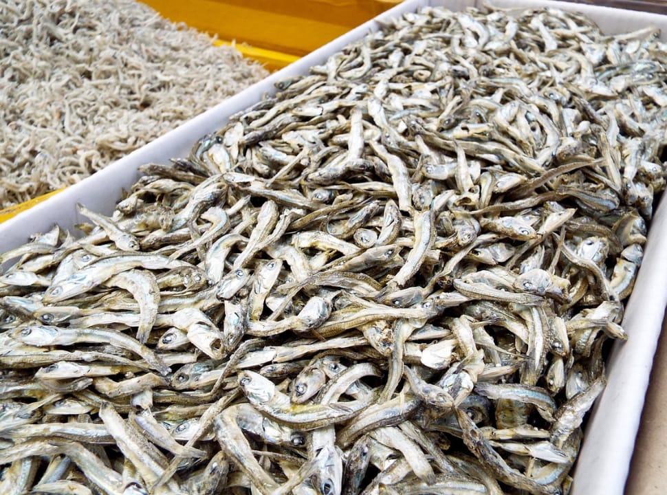 FishMart – No. 1 Fish Market in Masvingo